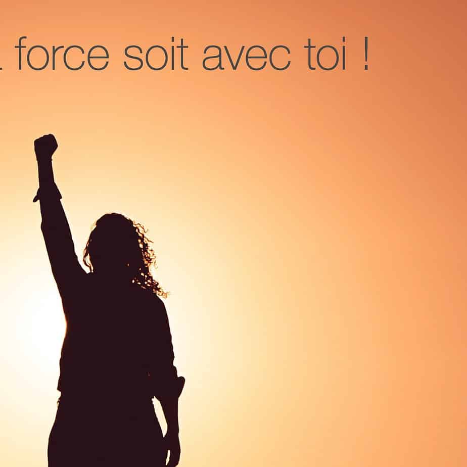 Que la force soit avec toi ! - Pierre Portevin